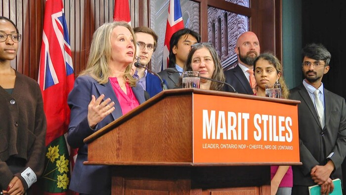 Coupures à l’aide aux étudiants : l’opposition exhorte Ford à revenir ...
