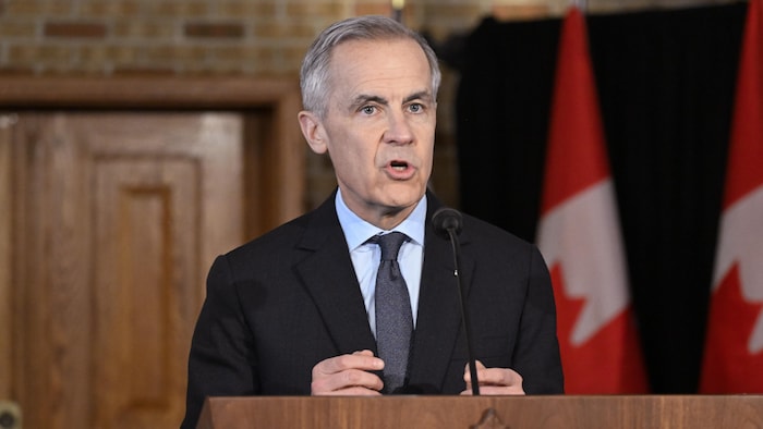 Après Davos, Mark Carney lance un appel à l’unité canadienne | Radio-Canada