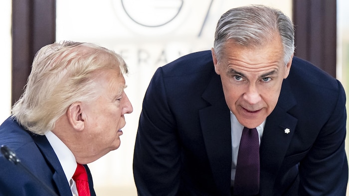 Mark Carney se permet une jasette sur les VE chinois avec Donald Trump ...