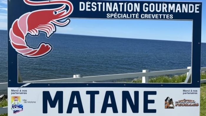 Crevette de Matane : un « monument de l’histoire » tombe | Radio-Canada