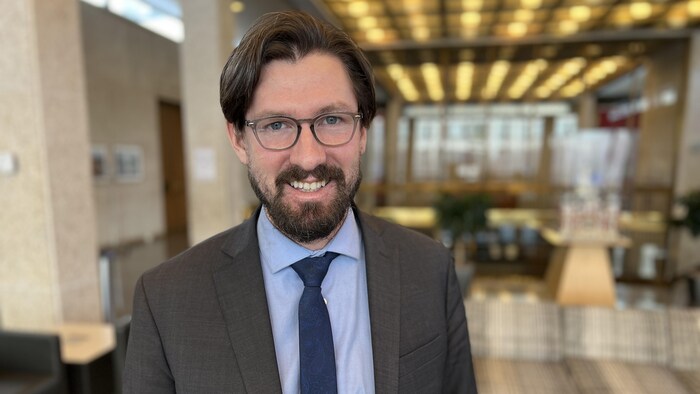 Les arbres historiques qui se trouvent au bord de la rivière Seine ne ...