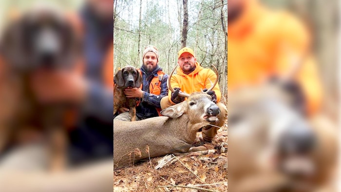 Conducteurs de chiens de sang : un changement législatif applaudi ...