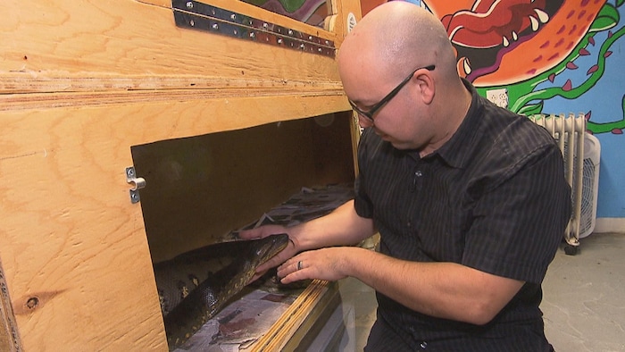 Monsieur Reptile aura pignon sur rue | Radio-Canada