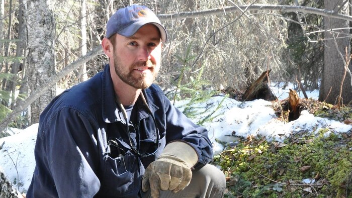 Les feux de forêt menacent la faune, selon des scientifiques | Radio-Canada