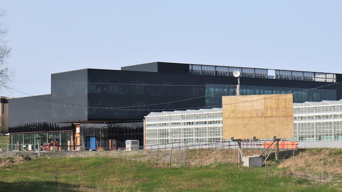 Le complexe de Medicago vendu pour 17 millions $ | Radio-Canada