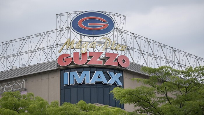 Les cinémas Guzzo vont diffuser la visite du pape à la basilique Sainte ...