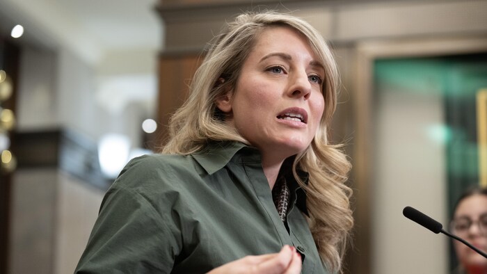 Le Canada participera au corridor maritime humanitaire vers Gaza ...