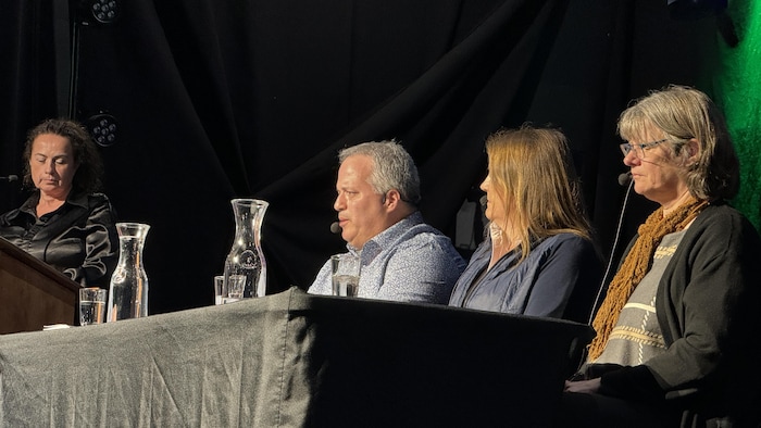 Le projet de Métaux Torngat à Sept-Îles suscite de l’inquiétude | Radio ...