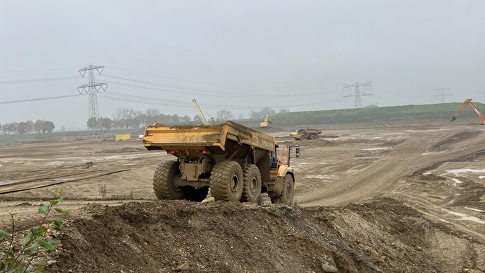 Un fleuve européen, havre pour la biodiversité | Radio-Canada