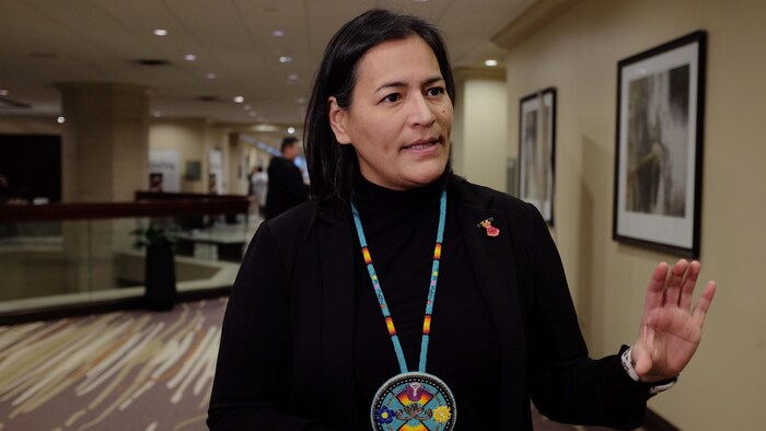 Le gouvernement de T.-N.-L. montré du doigt après la vague de suicides ...