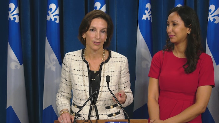 Vérificateur général du Québec : les libéraux rejettent le choix du ...