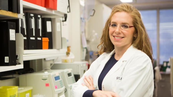 Santé des femmes : faut-il revoir le taux cible de fer dans le sang ...