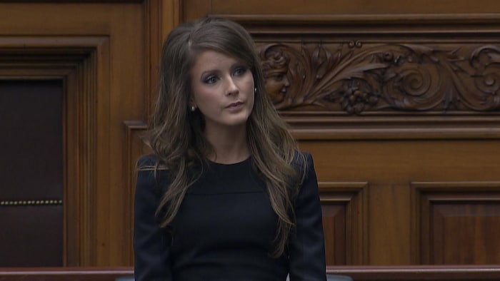 Sept citations qui ont marqué la politique cette année en Ontario ...