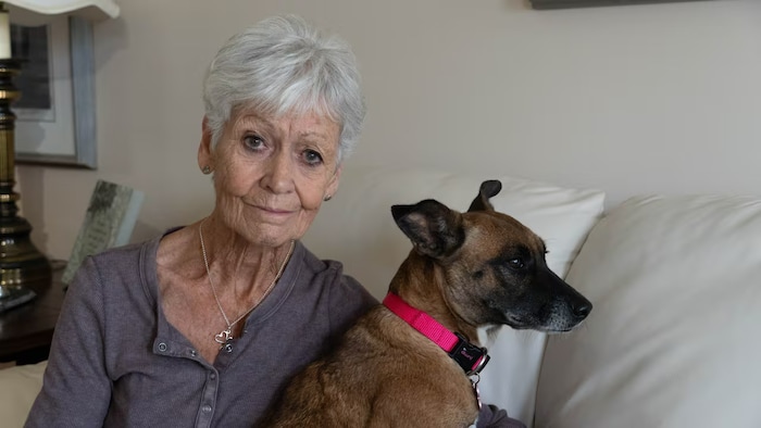 Attaquée par trois chiens, une victime croit que le règlement municipal ...