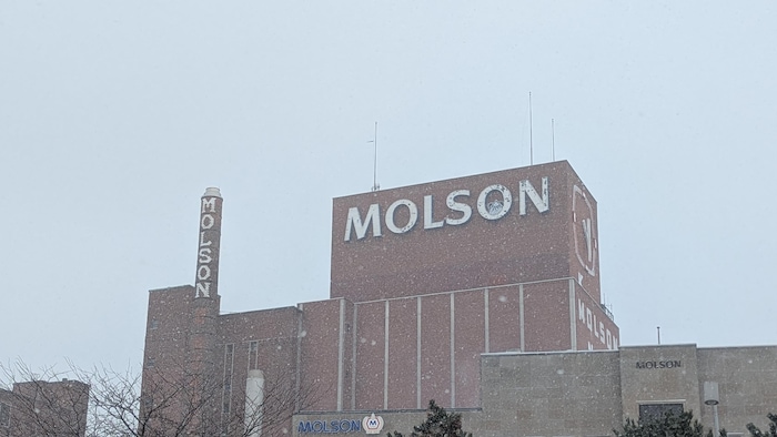 « Molson », « Kong » et « Sluk » : l’usine Molson vandalisée à Montréal ...