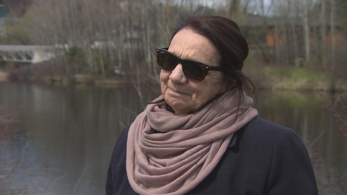 Le CREDD demande à Québec de bloquer le projet de RSI Environnement | Radio-Canada