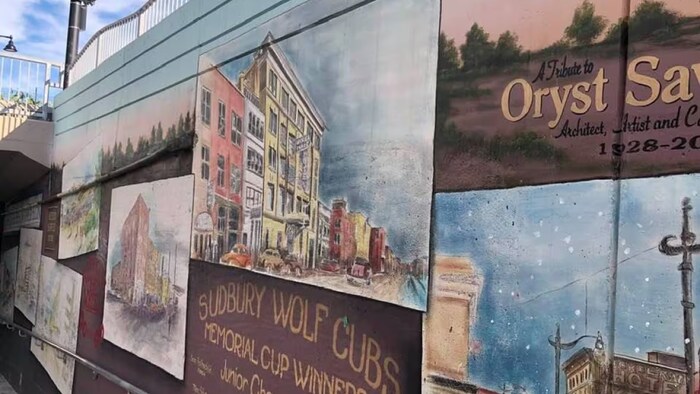 Après avoir survécu à une grave maladie, une artiste de Sudbury voit ...