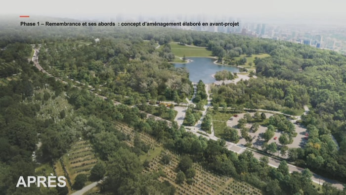 Mont Royal : la voie Camillien-Houde sera fermée aux voitures en 2028 ...