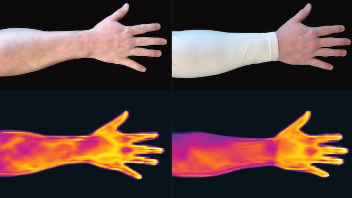 L’infrarouge, l’un des moyens utilisés par le moustique pour atteindre ...