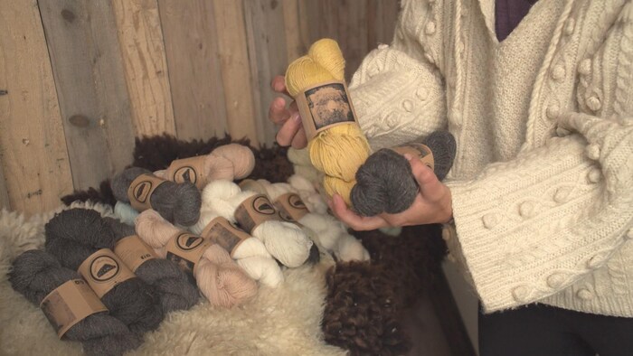 Laine, écologie et francophonie font bon ménage à Sainte-Geneviève ...