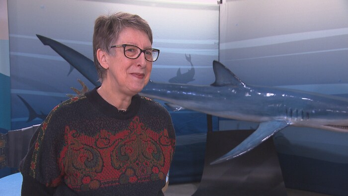 Plus de visiteurs au Musée de la biodiversité à Bécancour en raison de ...