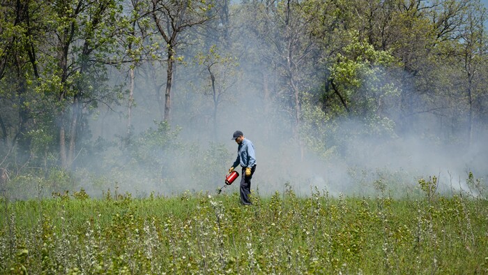 [EN IMAGES] Comment préserver une prairie, à coups de briquet et de ...