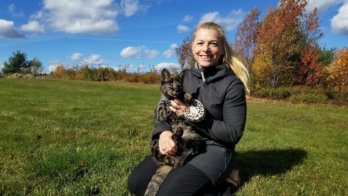 Cri du cœur pour retrouver un chat de grande valeur perdu à Sherbrooke ...