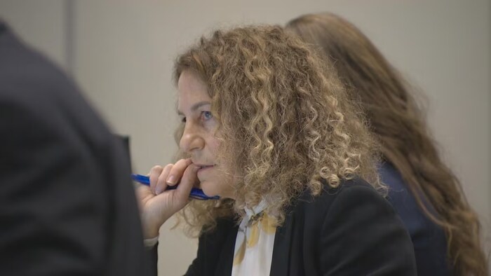 Début des audiences sur les tarifs d’Énergie NB : Irving opposé à la ...