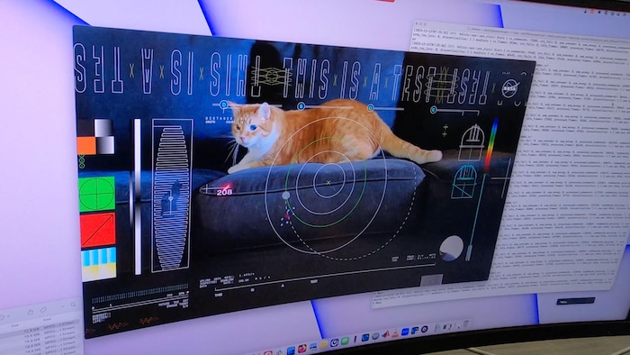 Chat alors! La NASA transmet par laser une vidéo de félin depuis l ...
