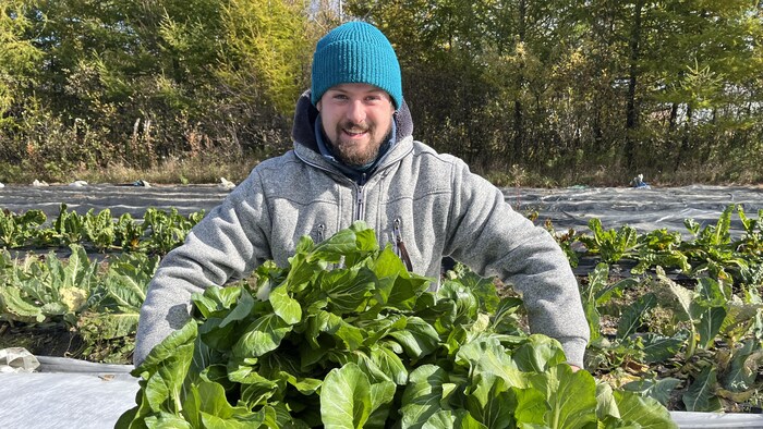 Les glaneurs découvrent les champs de la Côte-Nord | Radio-Canada