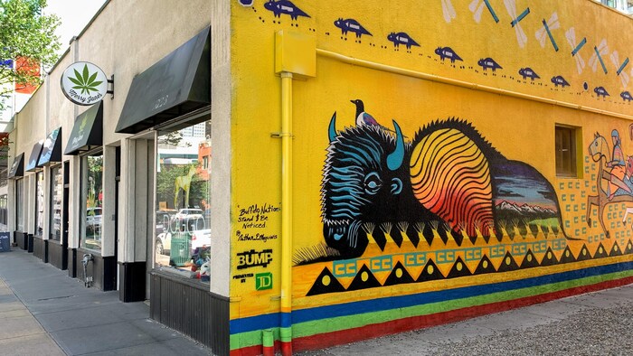 De nouvelles murales aux couleurs autochtones à Calgary | Radio-Canada