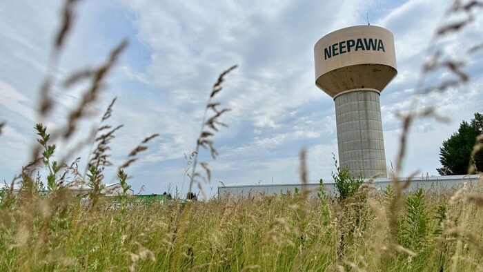 Neepawa achète 130 hectares de terres agricoles pour soutenir sa ...