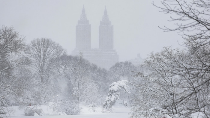 Jusqu’à 90 cm de neige : une tempête exceptionnelle frappe le nord-est ...