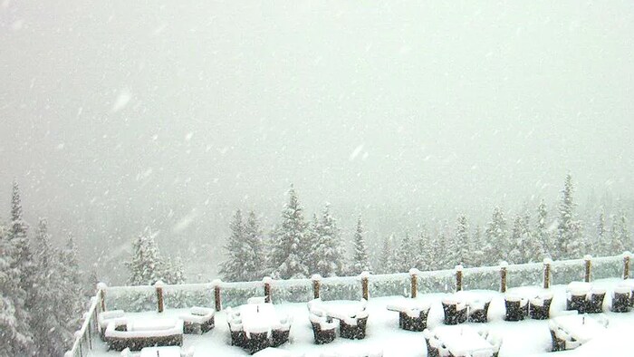 Des alertes de neige et de vents forts en Alberta | Radio-Canada