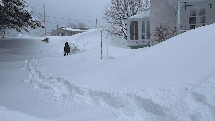 PHOTOS - Une tempête qui marquera les esprits au Bas-Saint-Laurent ...