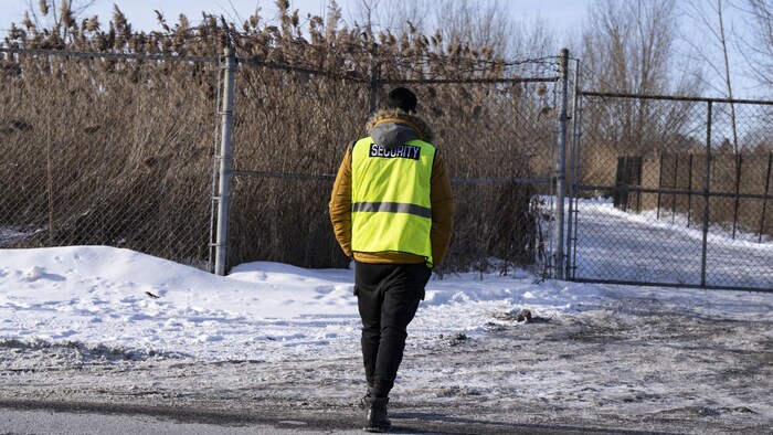 Des clous plantés dans des arbres sur le terrain de Northvolt | Radio ...