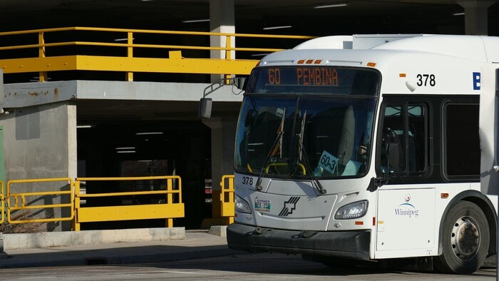 Winnipeg Transit offre des trajets gratuits la veille du Nouvel An ...