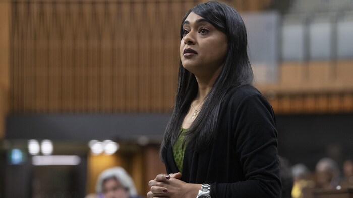 Octubre, Mes de la Herencia Latinoamericana en Canadá | Radio-Canada.ca