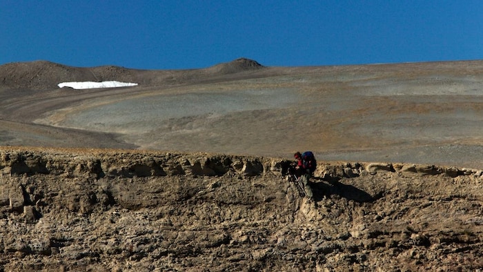 Un fossile du Nunavut révèle les plus anciennes protéines au monde ...
