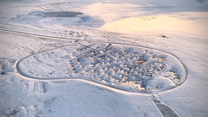 Deux phoques atteints de la grippe aviaire près de Resolute Bay, au ...