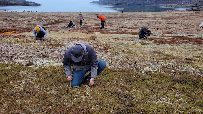 Chasseurs et chercheurs : le savoir inuit s’attaque aux changements ...