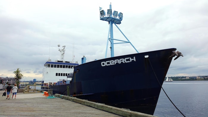 Ocearch critiqué pour son traitement des requins blancs | Radio-Canada
