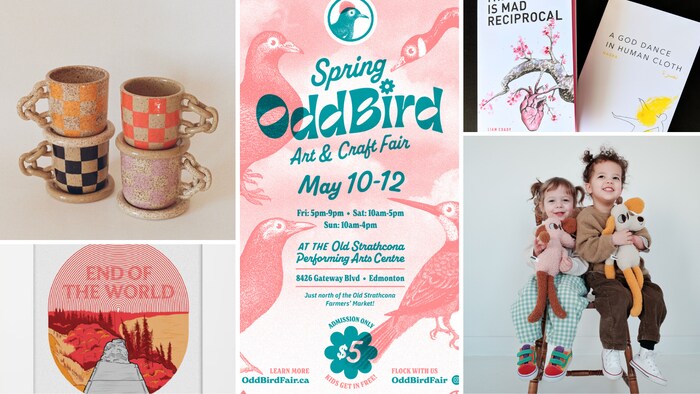 Le marché d’art et d’artisanat Royal Bison laisse place à Oddbird à Edmonton | Radio-Canada