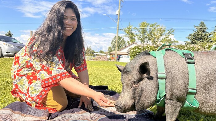 Okotoks lance un projet pilote pour les animaux de ferme comme soutien ...