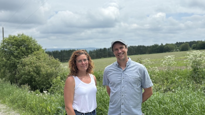 Un projet résidentiel et agricole attendu à Saint-Camille | Radio-Canada