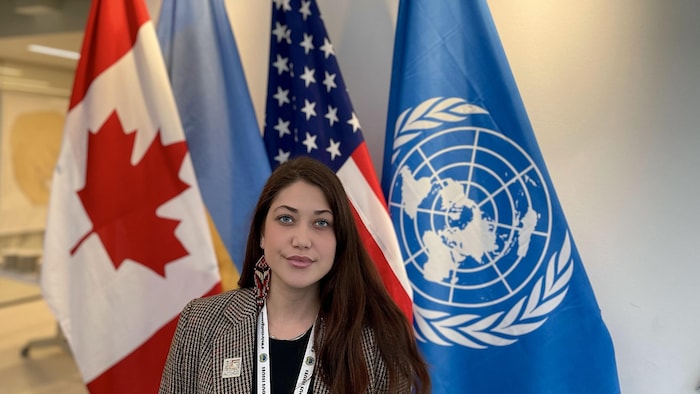 Questions autochtones à l’ONU : apprendre au forum des luttes communes ...
