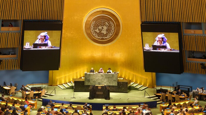 Démystifier l’ONU, un « espace incroyable pour apprendre et ...