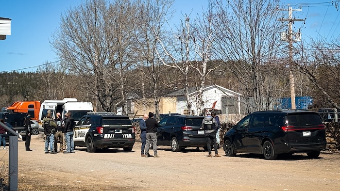 Munitions, grenades et 45 000$ saisis par les policiers à Longue-Rive ...