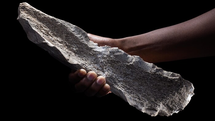 Nos ancêtres taillaient des outils en os il y a 1,5 million d’années ...