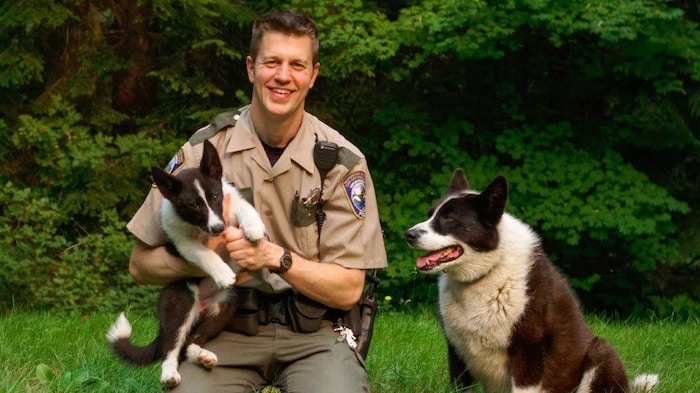 Des chiens d'ours pour éloigner les ours | Radio-Canada